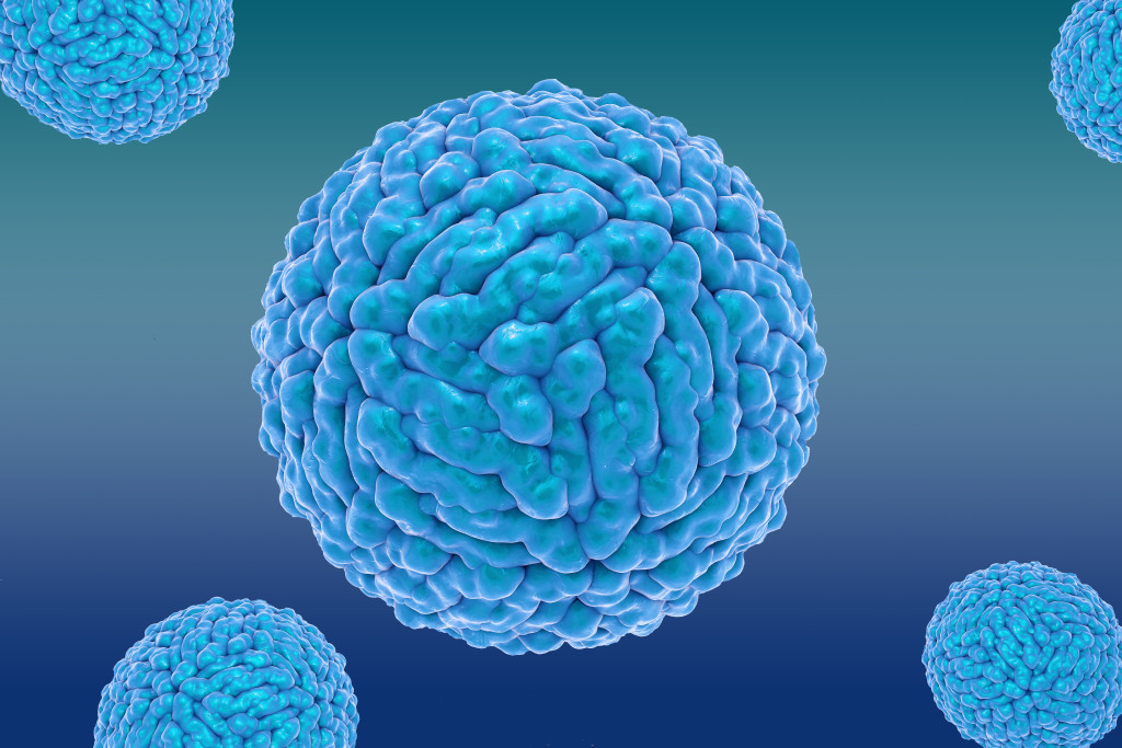 The Facts about Zika Virus: Past and Present - Microbiologics Blog